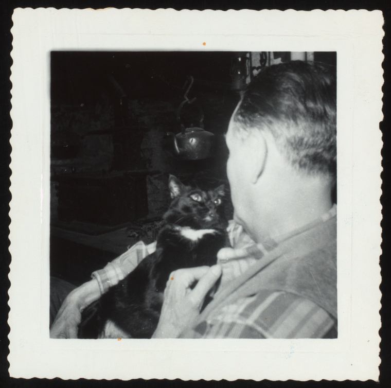 Hamlet (cat) - NYPL Digital Collections