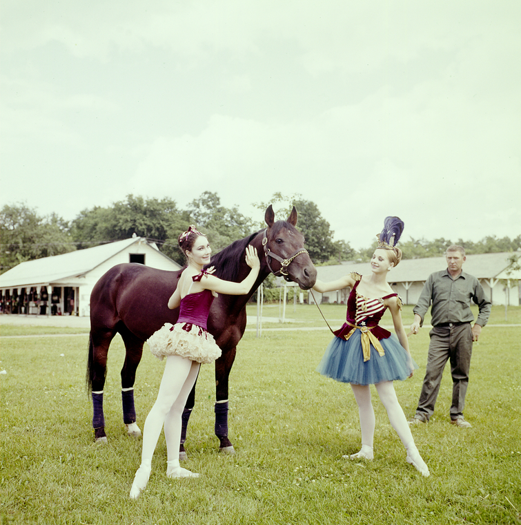 Horse Ballet