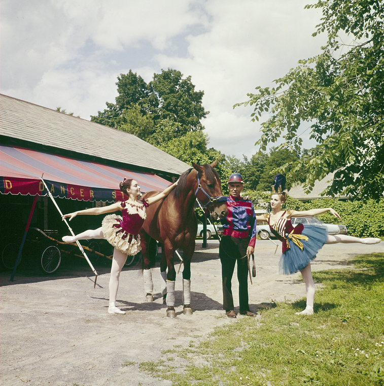 Horse Ballet