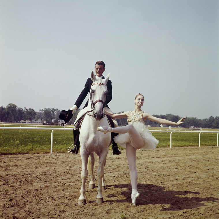 Horse Ballet