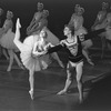 New York City Ballet production of "Swan Lake", corps de ballet ...
